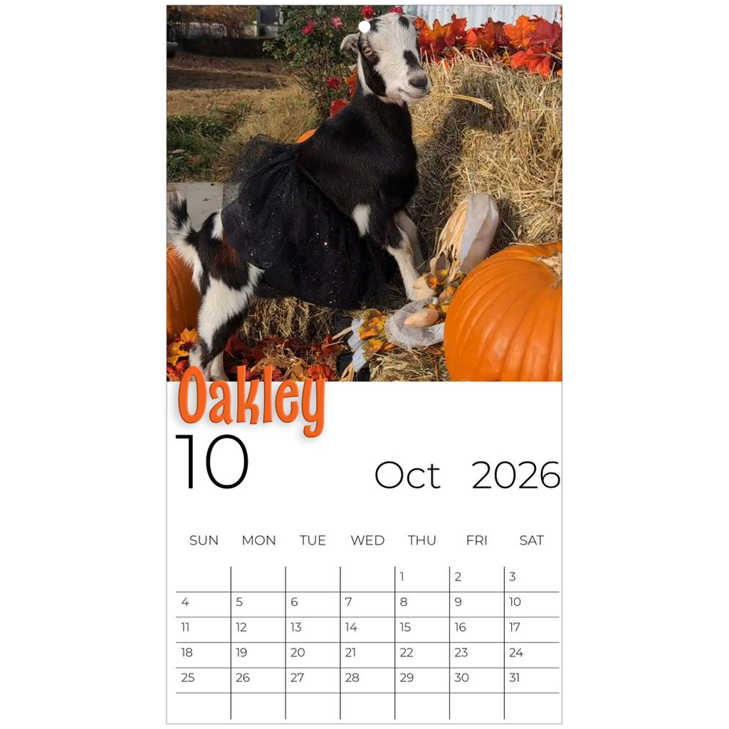 SSF 2026 Calendar – Syman Says Farms